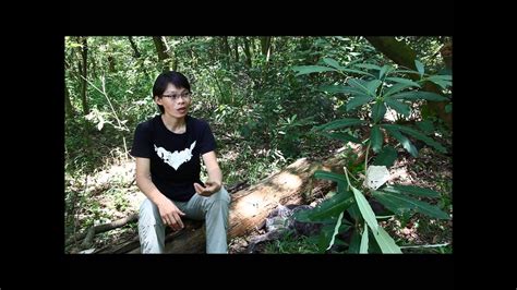 【2013年國家地理台灣探險家】台灣黑熊研究保育學者 黃美秀 Youtube