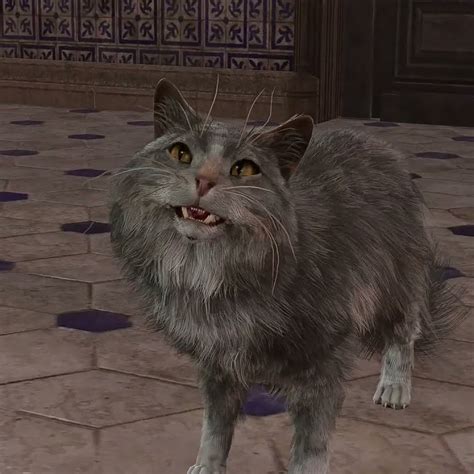 Baldurs Gate 3 The Servant Ape Serving The Cat Masters How Rude