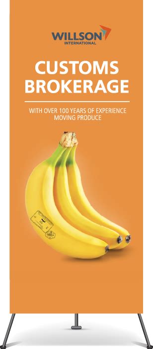 Willson International Groundzero