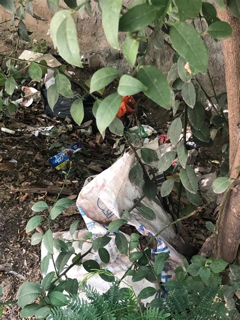 Pre Monsoon Imperatives Cleaning Drains And Tackling Leaf Piles