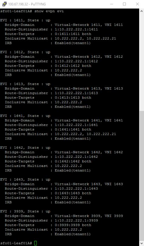 verify bgp evpn and vxlan between leaf switches vmware cloud