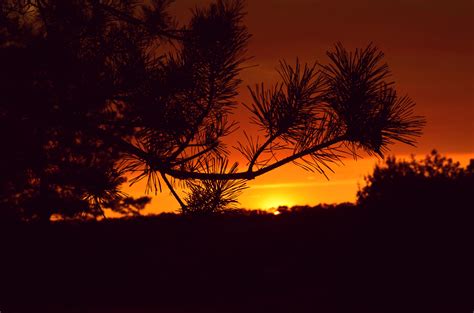 Dusk And Sunset In The Landscape Image Free Stock Photo Public