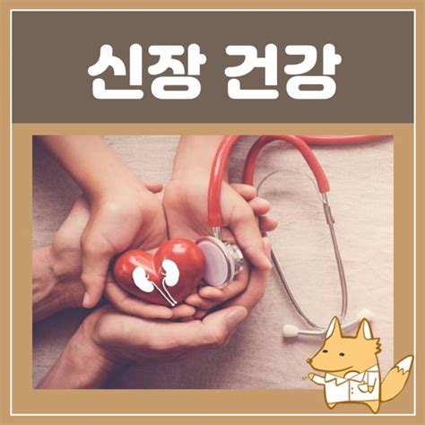 요소질소 Bun 수치 혈청 크레아티닌 수치 신장 수치 신사구체여과율 콩팥이 안좋으면 신장 이상 증상 네이버 블로그