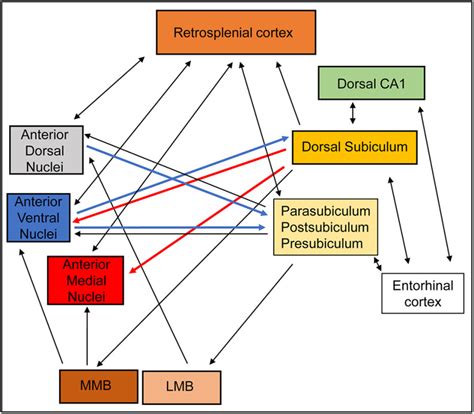 Deconstructing The Direct Reciprocal Hippocampal Anterior Thalamic