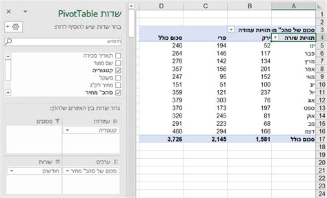 פיבוט אקסל Pivot Table טבלת ציר