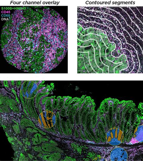 Geomx® Data Center An End To End Software Solution