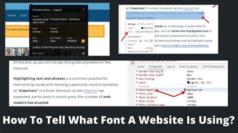 what is a root directory of a website basicwebguide