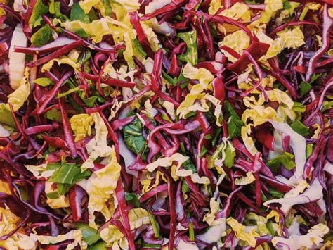 How To Shred Cabbage With A Food Processor Dr Alice Williams