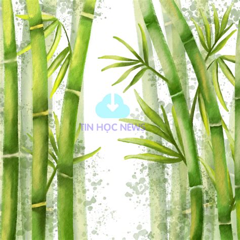 20 Mẫu Cây Tre Vector Đẹp Sắc Nét Ai Eps Png Tải Xuống Miễn Phí