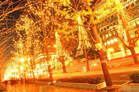 光が織り成す美しい風景に出会える街 ～大阪市内のおすすめイルミネーション5選～ キナリノ