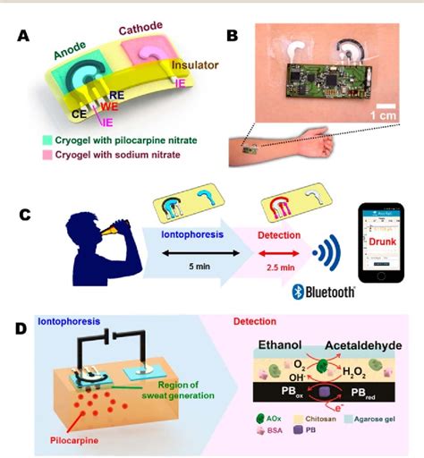 Figure 4 From Nanostructured Wearable Electrochemical And Biosensor