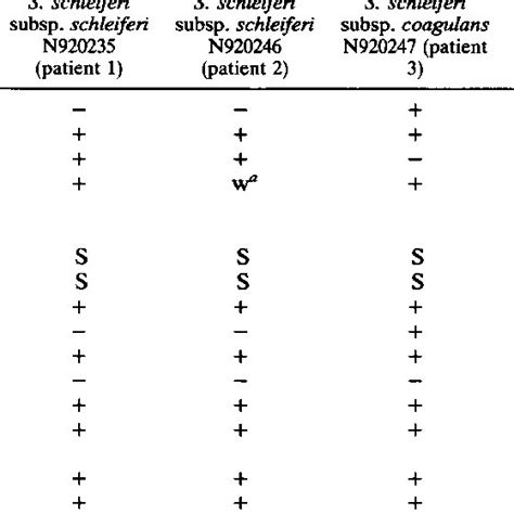 Biochemical Characteristics Of The Strains Reaction Of Download Table