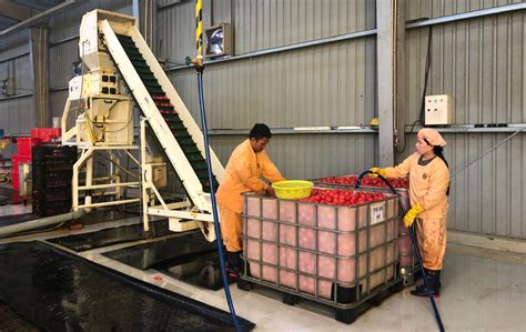 100 Các CĐcs Tổ Chức Thành Công đại Hội Vietnam Vn