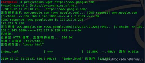 渗透测试之kali 流量转发 proxychains转发 socks转发 kalirouter转发 csdn博客