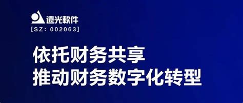 远光软件原娟娟：依托财务共享推动财务数字化转型集团资金中心