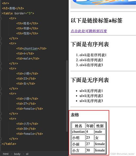 Html标签简介 标签表示的是什么 Csdn博客