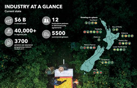 New Horticulture Strategy Eyes 12b Exports Target Inside Government Nz