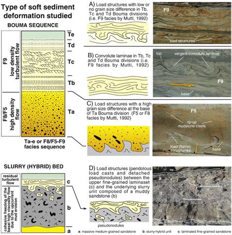 What Is Convolute Bedding In Geology Diy Projects