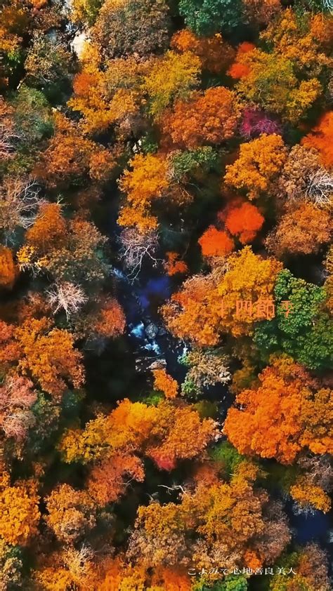 Lulu 二十四節季「霜降」の次項 小雨時々降 こさめときどきふる 10月28日頃から11月1日頃を指します。 この時期は、冷たい雨が