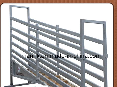 Livestock Yard Cattle Adjustable Loading Ramp Loading Ramp And Cattle Crush