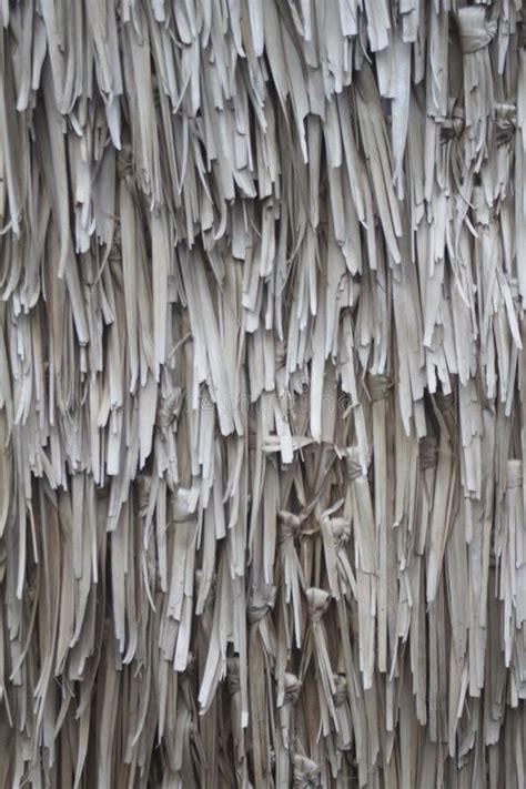 Grass In Gray Picture Image 30459151