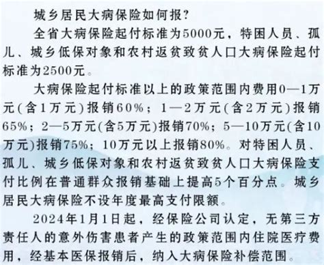 临夏自治州城乡居民大病保险如何报？