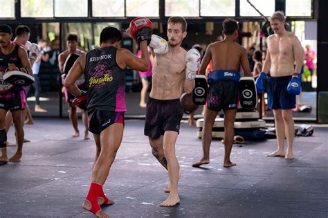 Tiger Muay Thai And Mma Training Camp Phuket 101