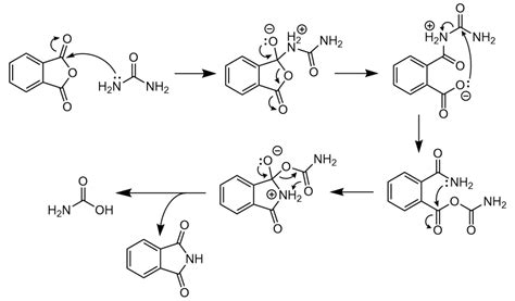 Phthalimide Synthesis Pierpalab
