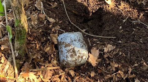 ФСБ задержала в Севастополе девушку наркокурьера с 700 граммами наркотиков