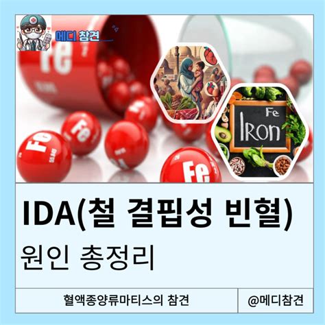 Ida 의학용어 Iron Deficiency Anemia 철결핍성 빈혈 원인 네이버 블로그