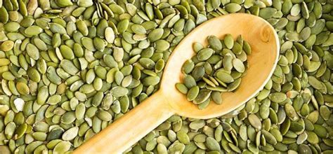 Are Pumpkin Seeds Fattening Or Good For Weight Loss Healthsomeness