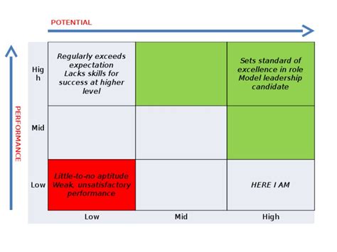Regularly Exceeds Expectation Lacks Skills For Success At Higher Level Sets Standard Of