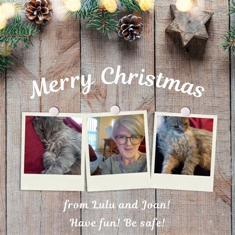 Joan Eckstein On Linkedin Itschristmastime