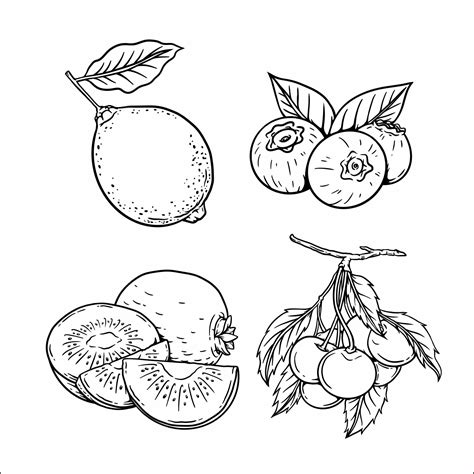 Desenho De Frutas 1727 Vetor Premium