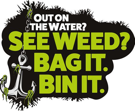 Exotic Caulerpa Updated Advice From Biosecurity Nz Ngati Hei Ki