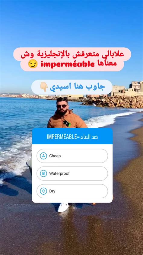 Safa Saoudi Englisahla • Instagram Photos And Videos