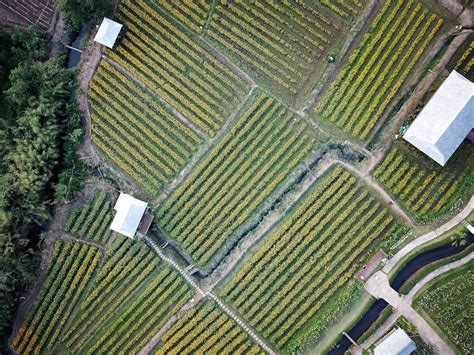 Définition De Irrigation Dictionnaire Français