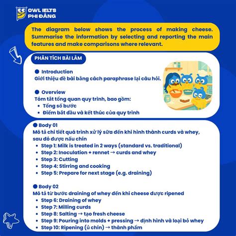 Owl Ielts Phi ĐẰng Quận 10