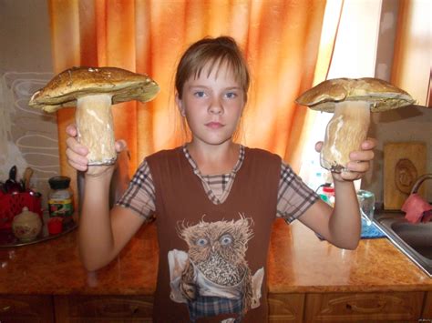 Всем грибов Пикабу