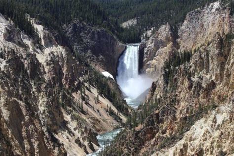 Yellowstone Tours Guided Tours In Yellowstone National Park
