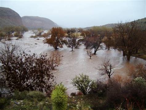 Lytle Preserve Photos