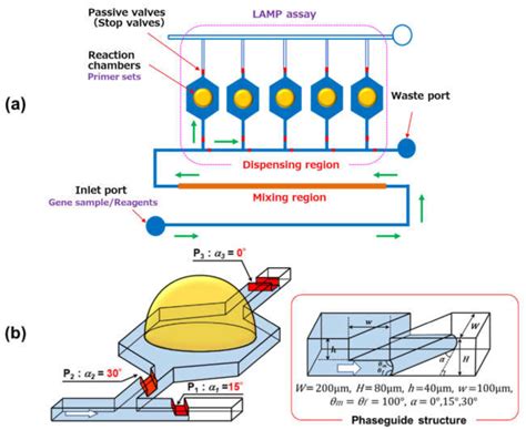 Figure 1 From A Microfluidic Diagnostic Device Capable Of Autonomous Sample Mixing And