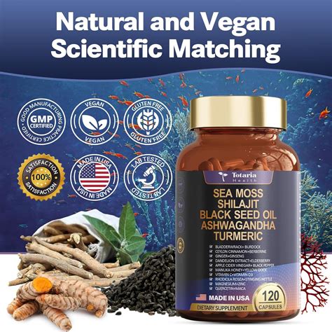 Totaria 25 In 1 Sea Moss Black Seed Oil Ashwagandha Ginger India Ubuy