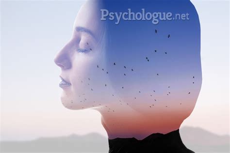Faire de mon hypersensibilité une force Psychologue net
