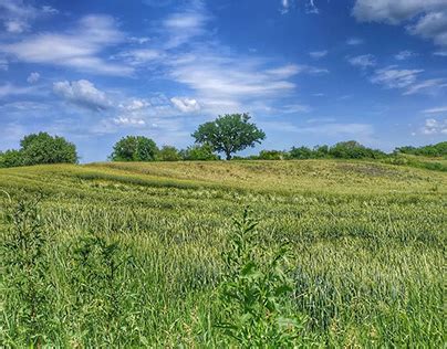 Windows Xp Projects Photos Videos Logos Illustrations And Branding Behance