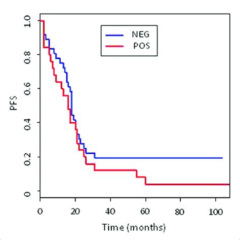 Kaplan Meier Km Curves Of Progression Free Survival Pfs Patients