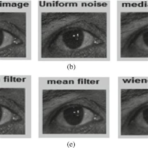 Result Of Filtering For Removing Uniform Noise Download Scientific