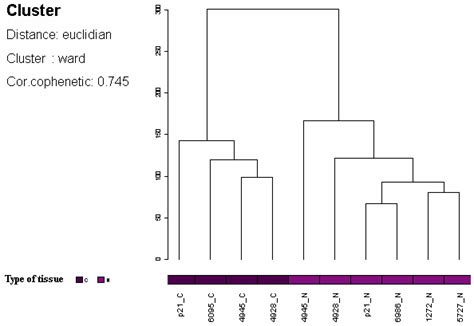 unsupervised hierarchical clustering of 10 prostate tissues four