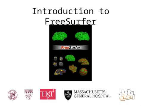 Ppt Introduction To Freesurfer Overview Format Who What Where