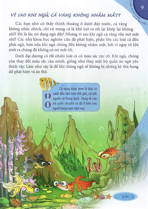 Review 10 Vạn Câu Hỏi Vì Sao Dành Cho Thiếu Nhicá Ngựa Chim Cánh Cụt